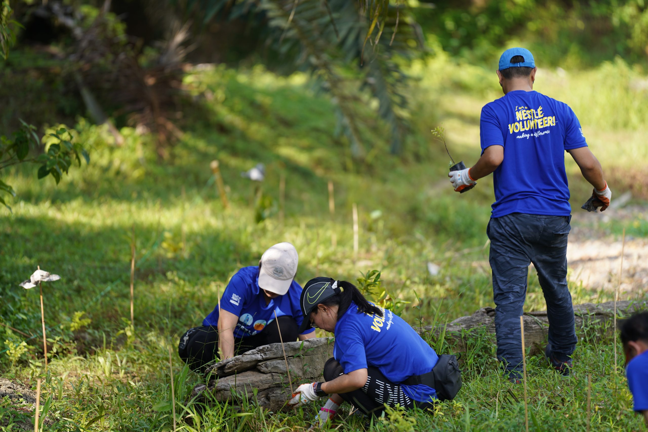 TDM Reserves 514 Hectares of Land to Ensure the Success of the Nestlé ...