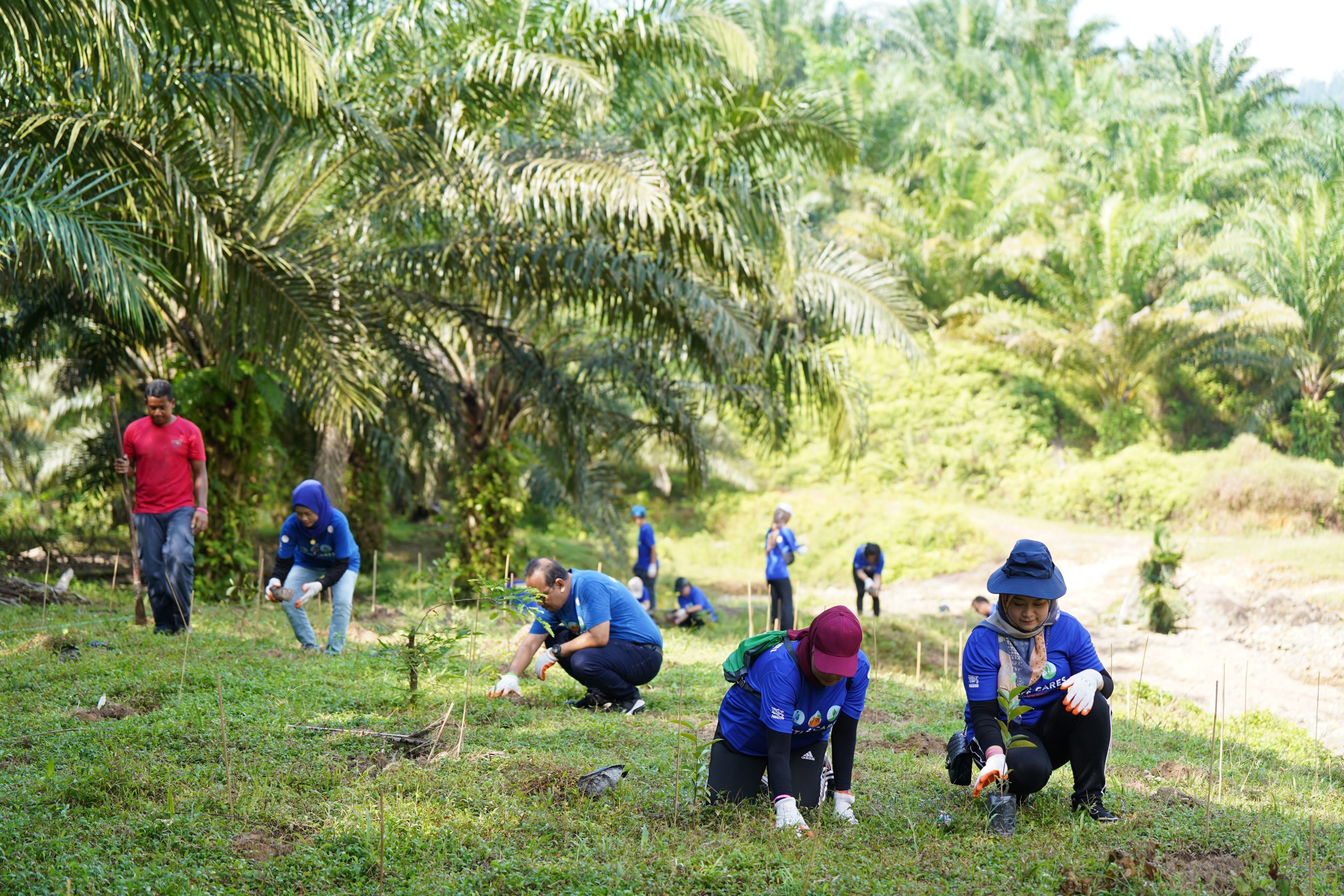 TDM Reserves 514 Hectares of Land to Ensure the Success of the Nestlé ...